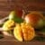 Weekly Ad | Sunset Foods Fresh Deals & Seasonal Highlights